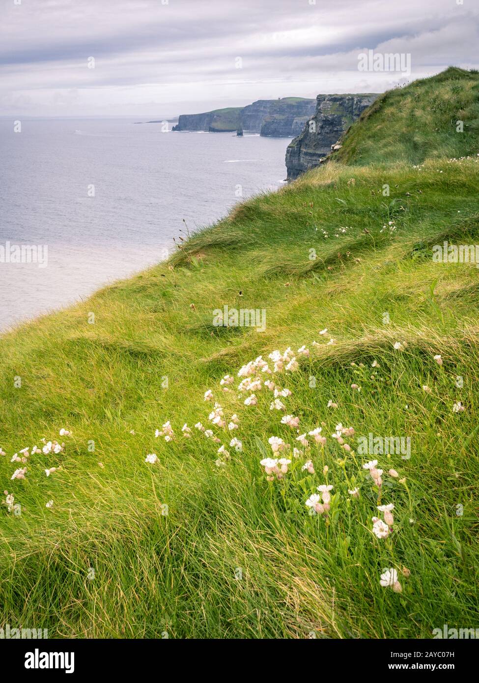cliffs of moher ireland Stock Photo - Alamy
