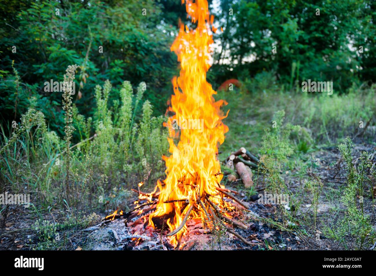 Bonfire in the forest hi-res stock photography and images - Alamy