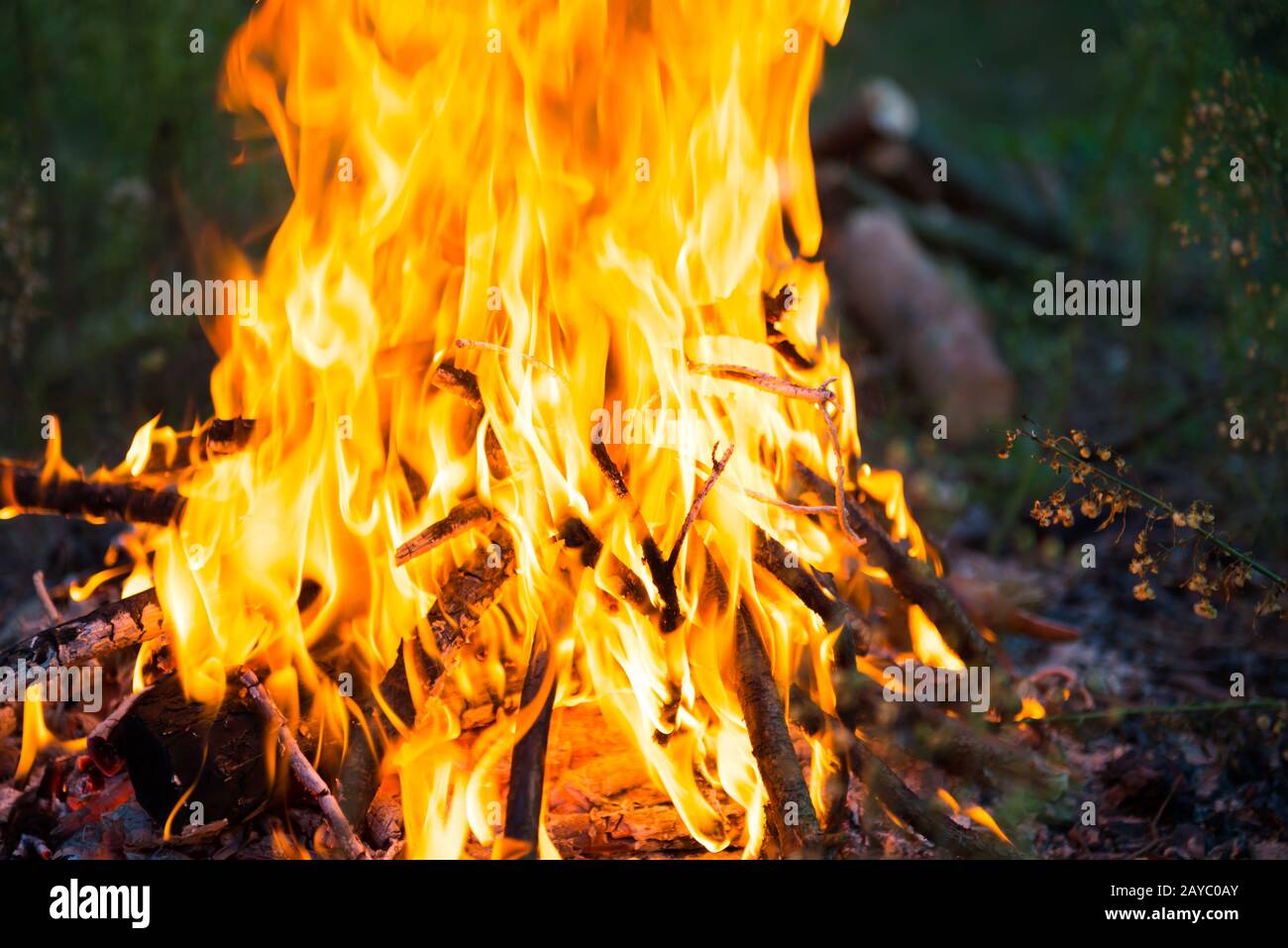 Bonfire forest hi-res stock photography and images - Alamy