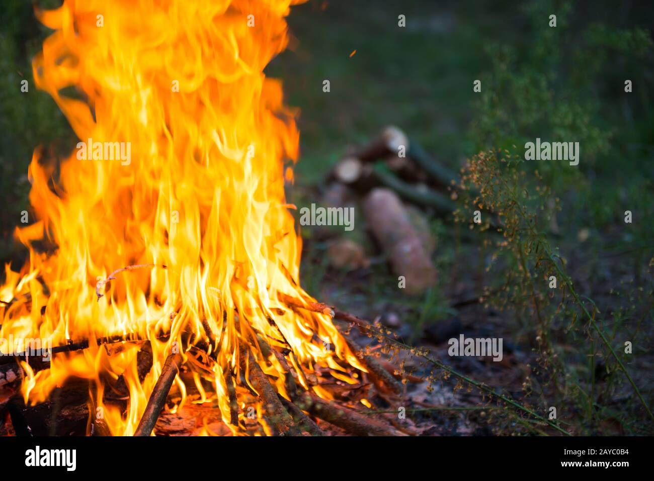 Bonfire in the forest Stock Photo - Alamy