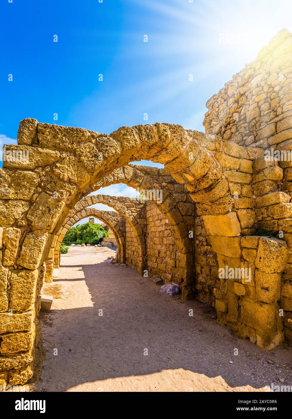 A dazzling southern sun illuminates the park Stock Photo - Alamy