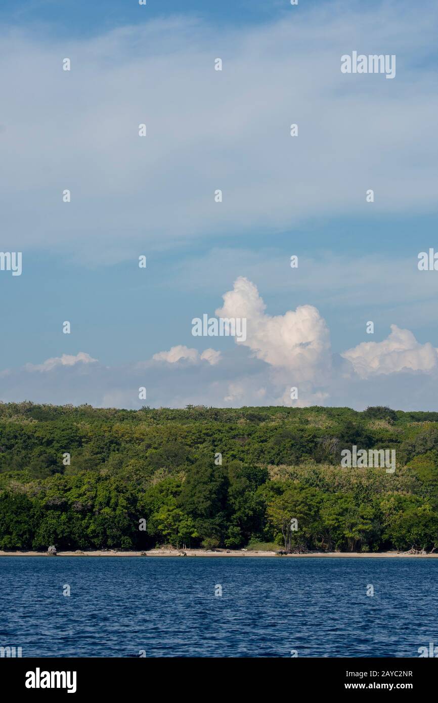 View of the forest on Moyo Island, off the coast of Sumbawa Island ...