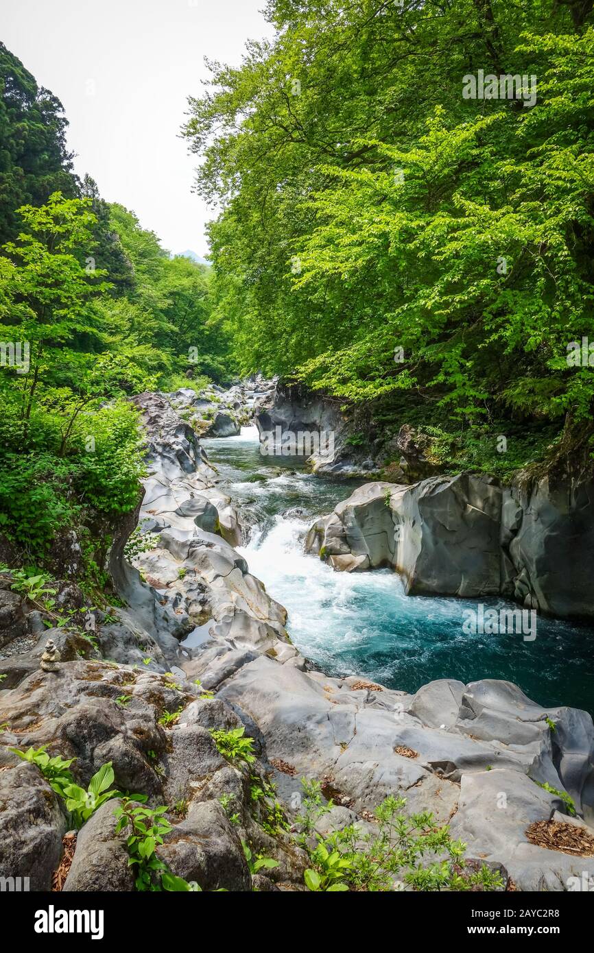 Kanmangafuchi abyss, Nikko, Japan Stock Photo - Alamy