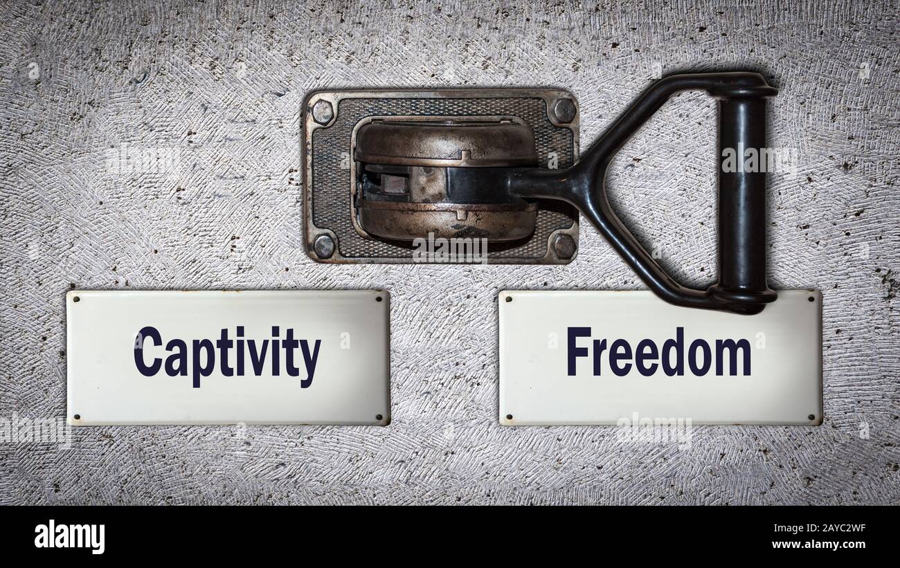 Wall Switch to Freedom versus Captivity Stock Photo - Alamy