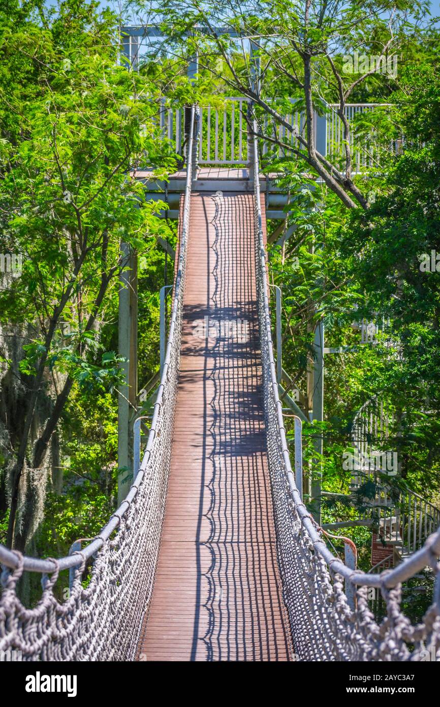 Canopy tree trek scenery hi-res stock photography and images - Alamy