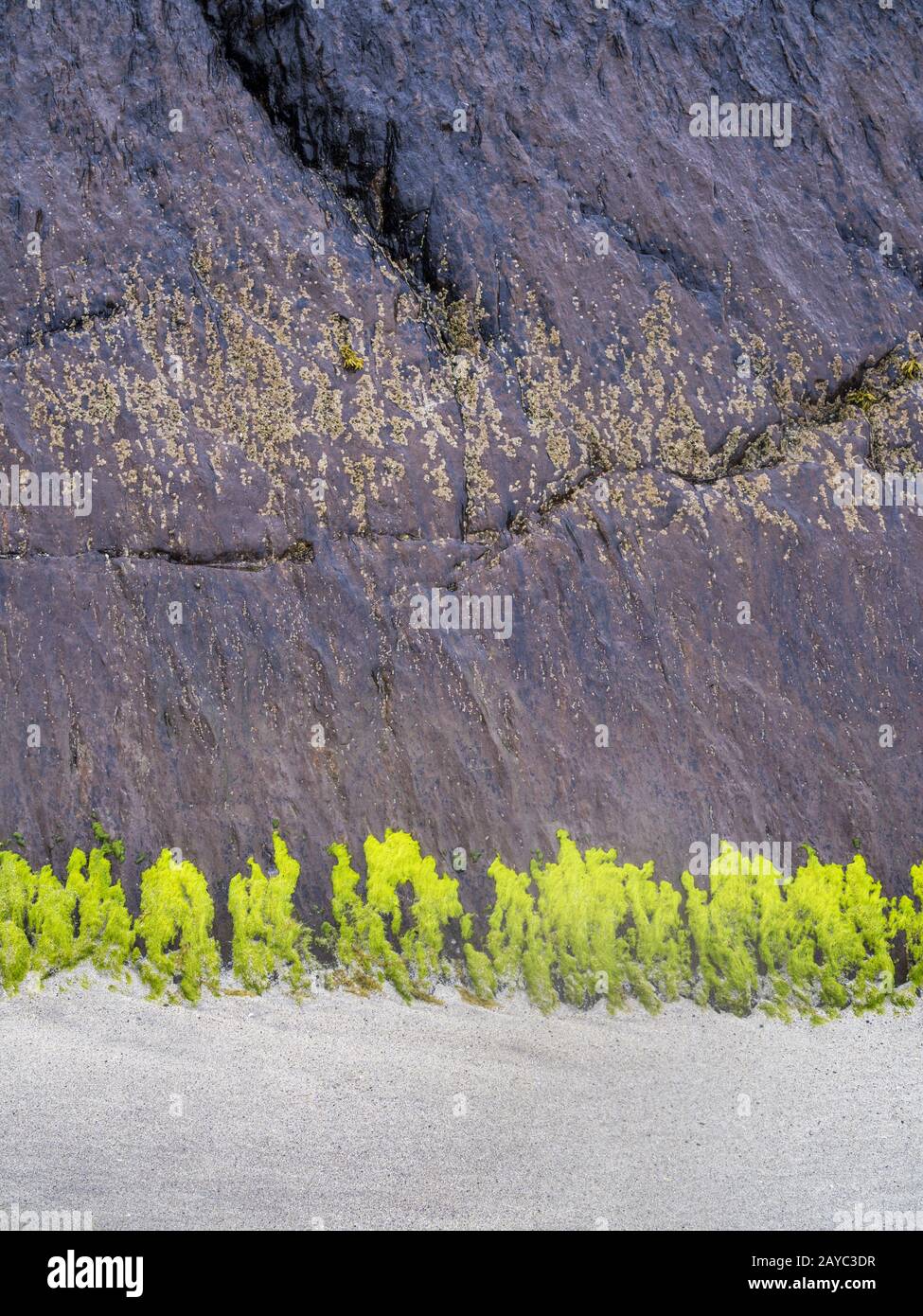 Stone texture at the coast Stock Photo - Alamy