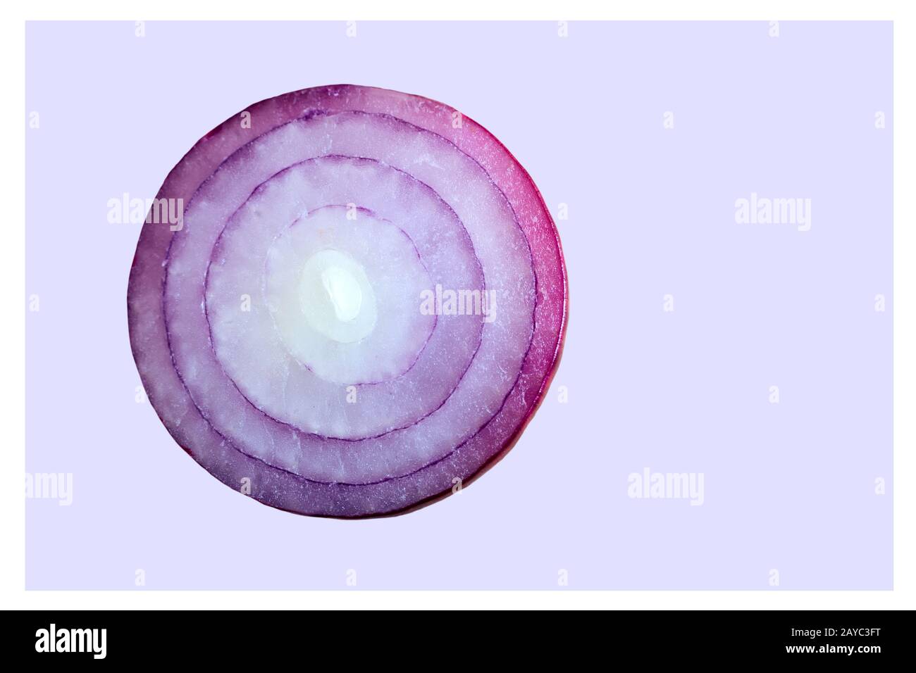 Cross section onion root hi-res stock photography and images - Alamy