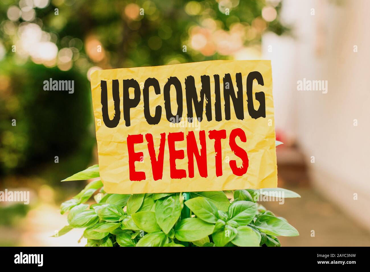 Public writing hi-res stock photography and images - Alamy