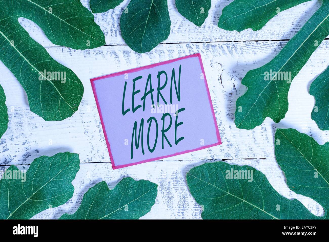 More of photo hi-res stock photography and images - Alamy
