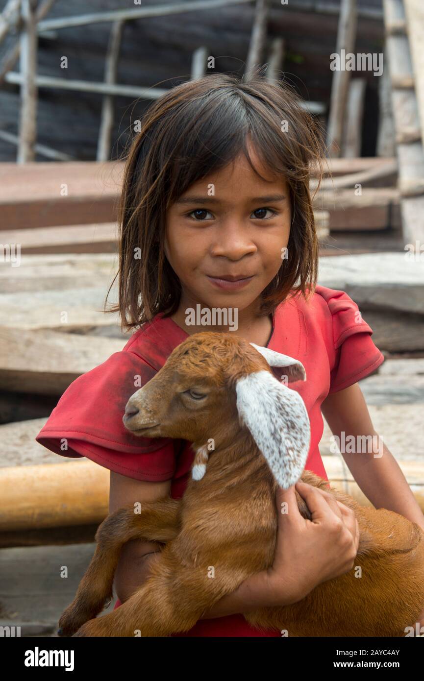 Village scene with a girl holding a baby goat in Sangean village ...