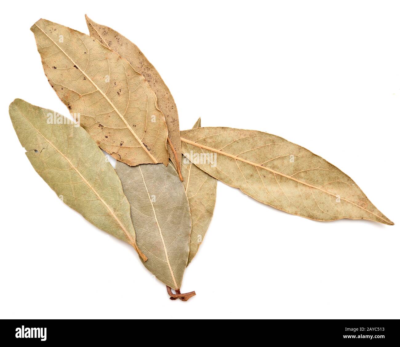 Whole bay leaves hi-res stock photography and images - Alamy