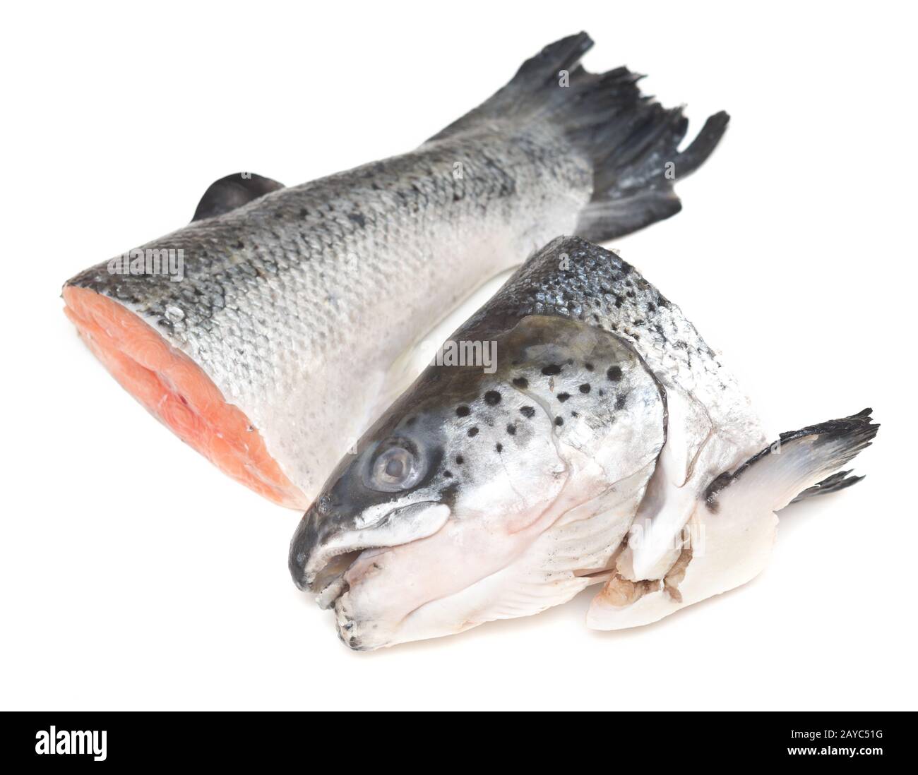 Salmon head hi-res stock photography and images - Alamy