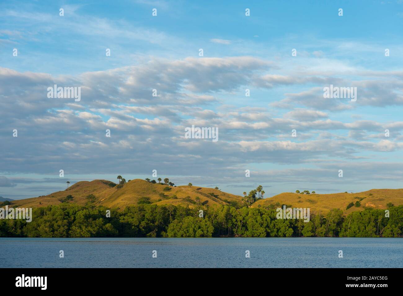 View of Rinca Island, part of Komodo National Park, Indonesia Stock ...