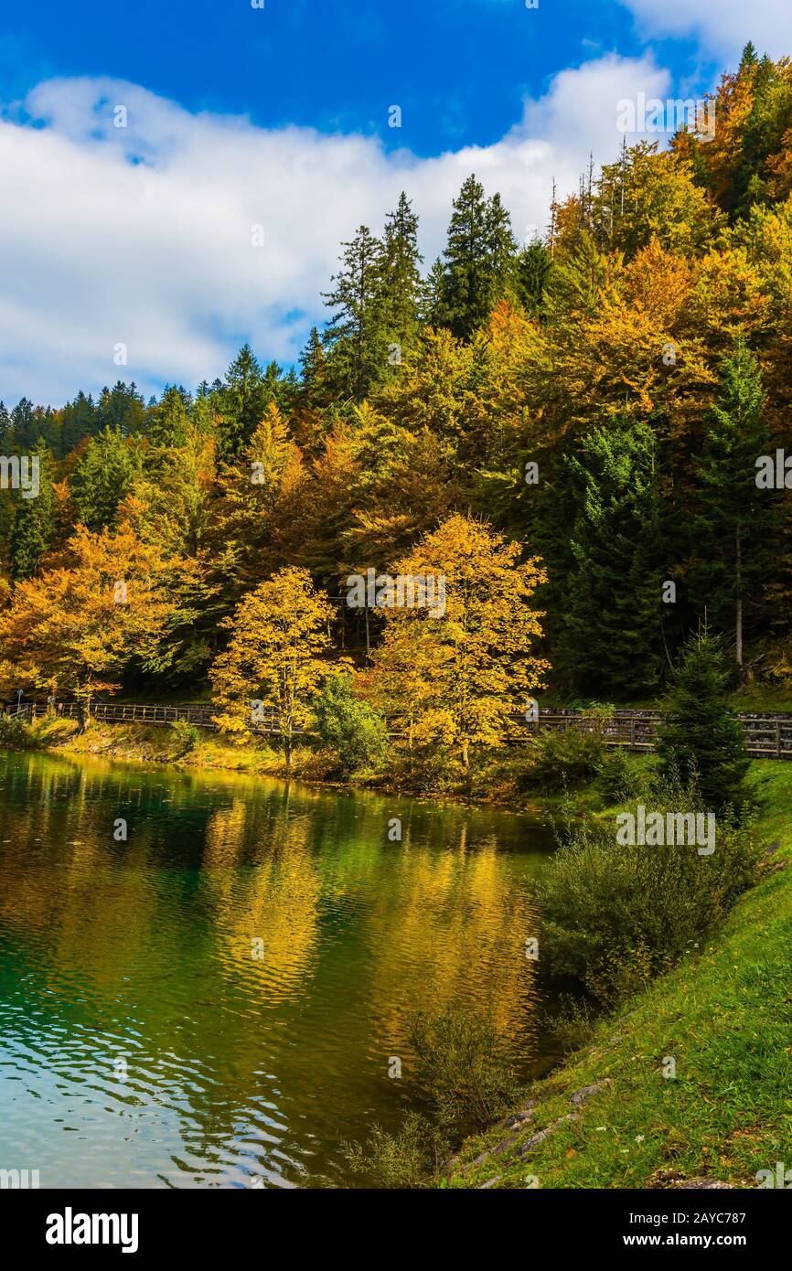 Beautiful forests hi-res stock photography and images - Alamy