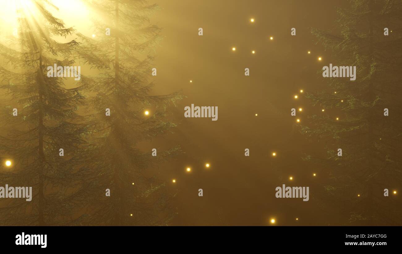 Magical Forest with Sparkles Stock Photo - Alamy