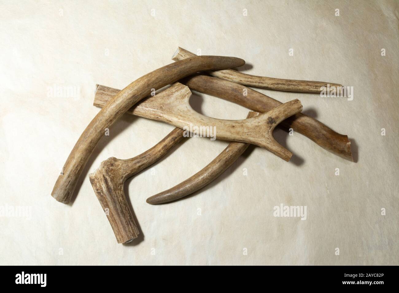 Pile Of Antlers High Resolution Stock Photography and Images - Alamy