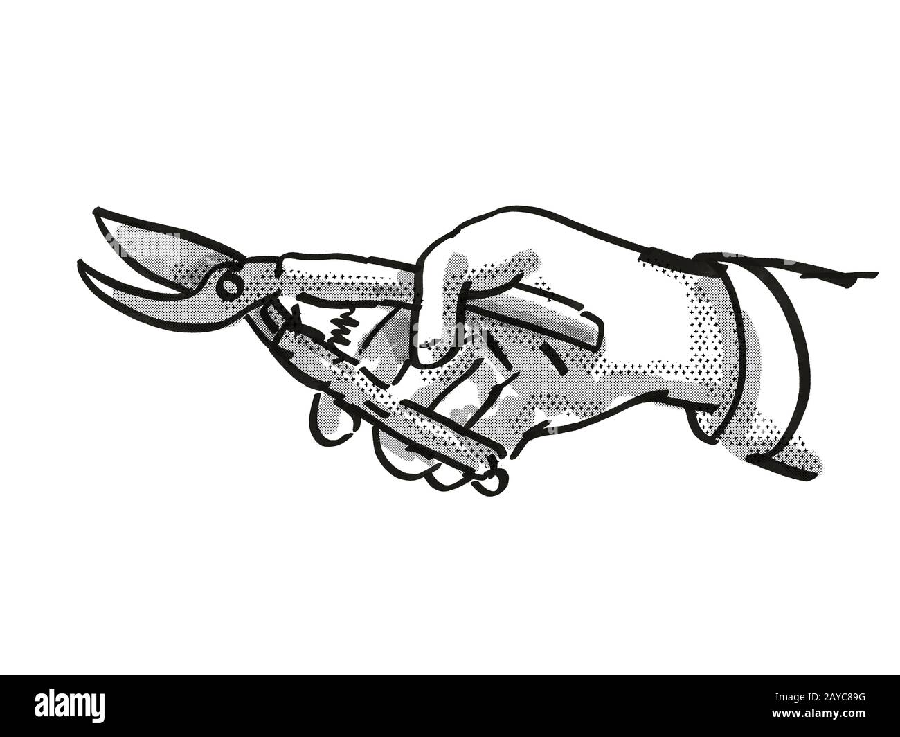 Hand holding Secateurs Garden Tool Cartoon Retro Drawing Stock Photo ...