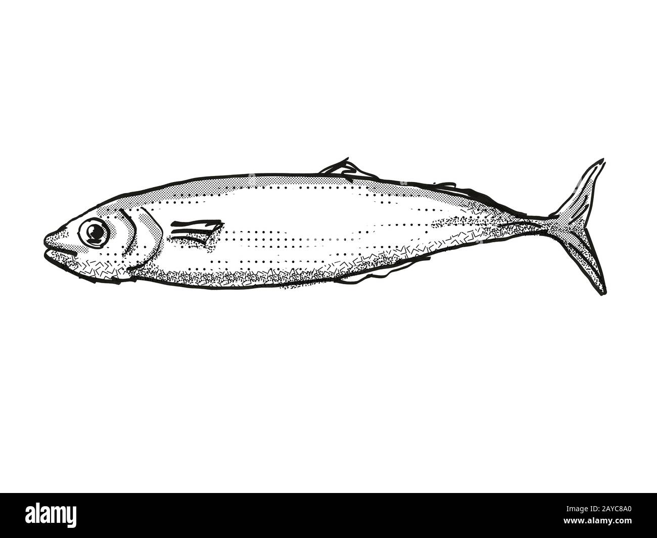 Koheru New Zealand Fish Cartoon Retro Drawing Stock Photo - Alamy
