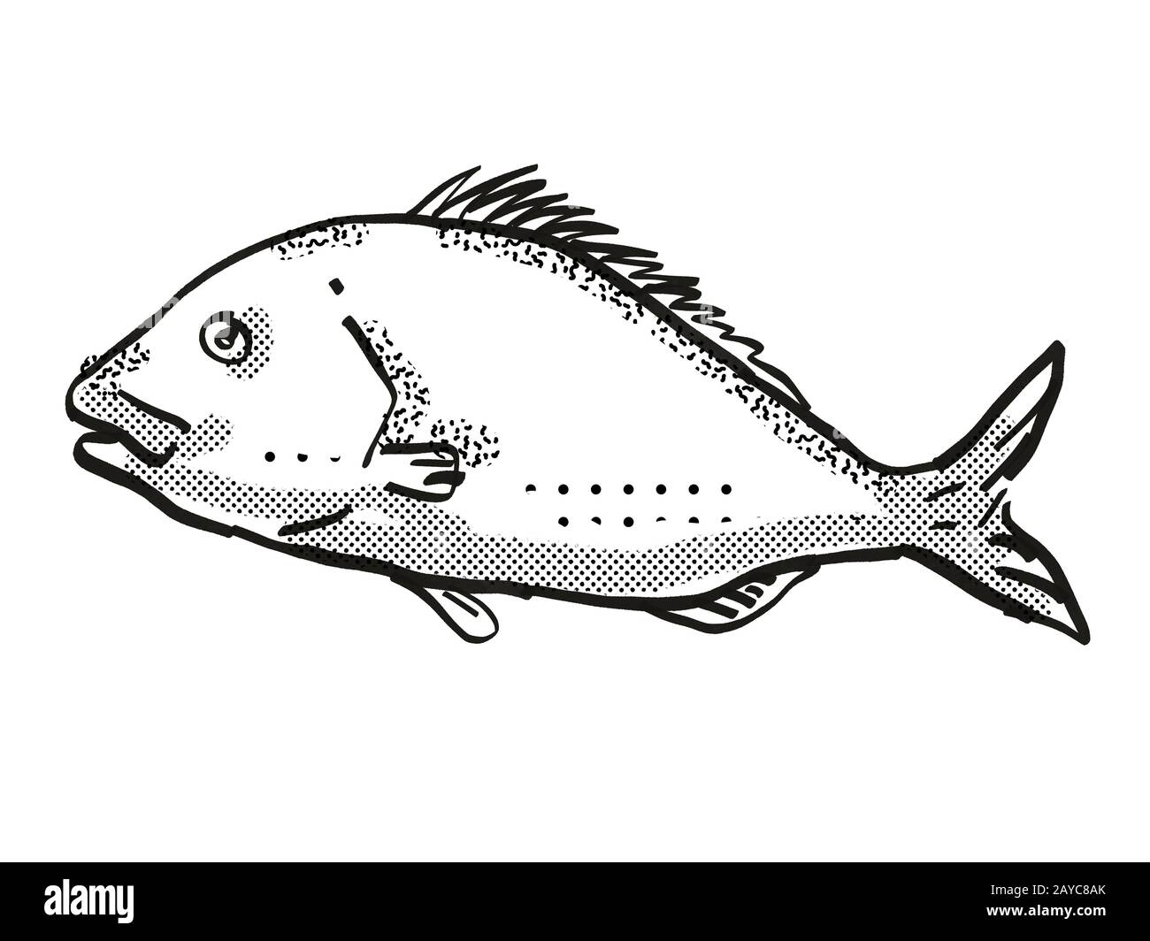 Snapper fish illustration Cut Out Stock Images & Pictures - Alamy
