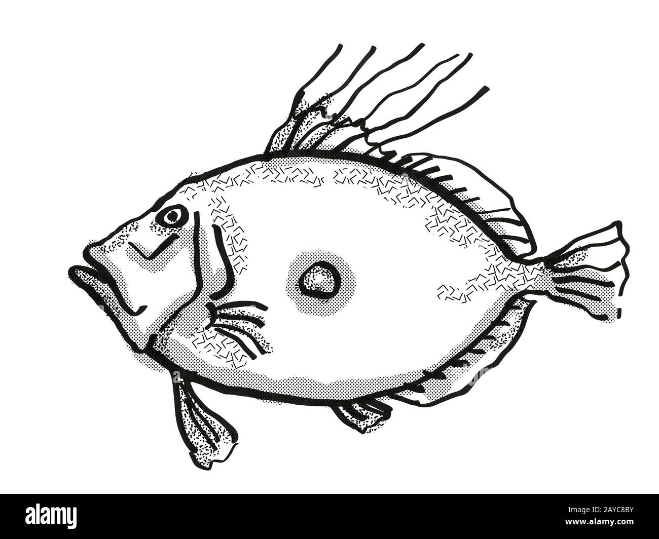Dory Fish Drawing