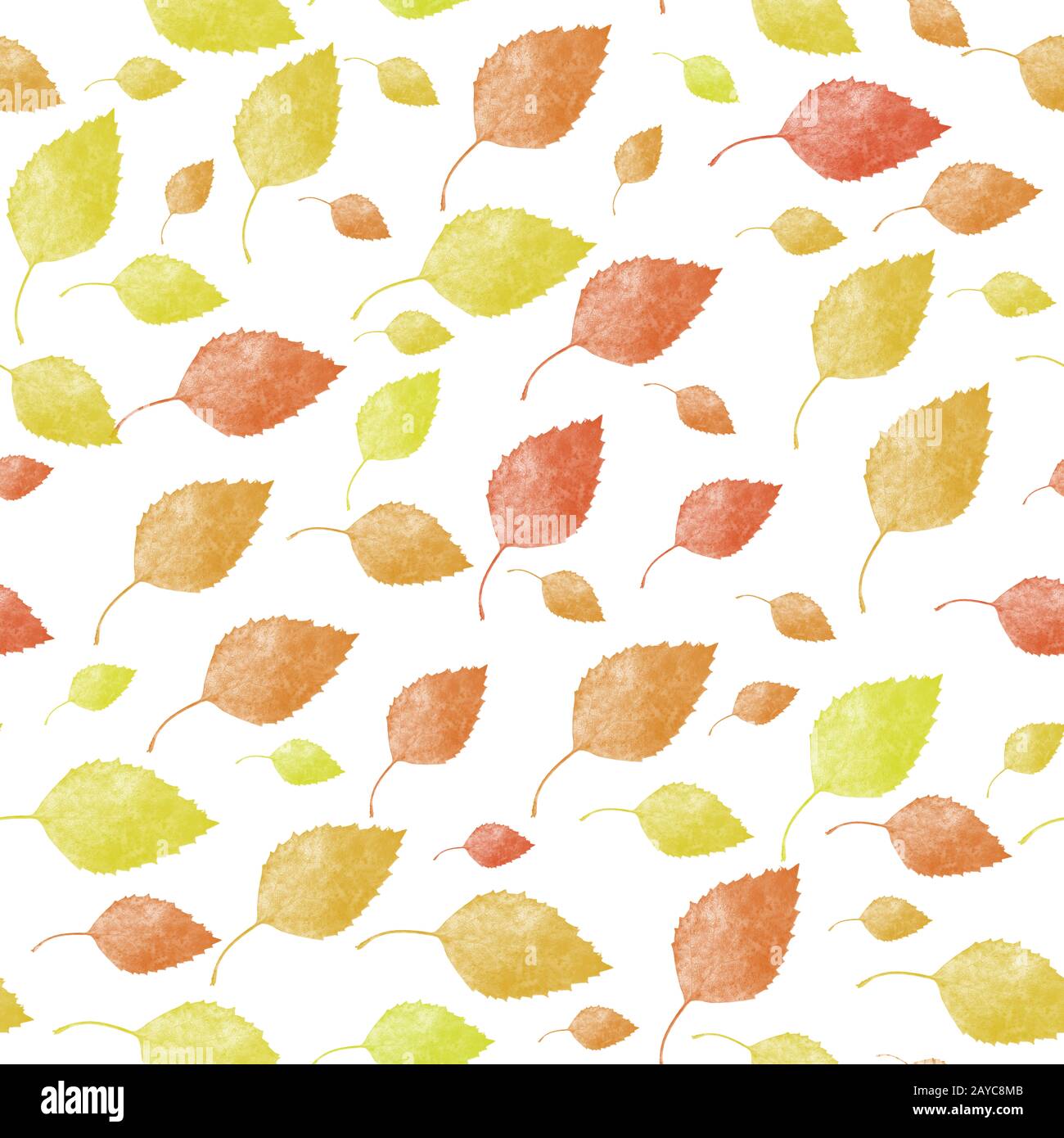 Contemporary birch hi-res stock photography and images - Alamy