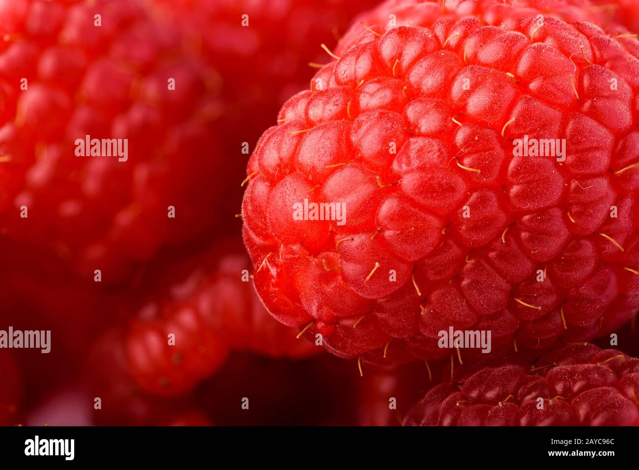 raspberries white background Stock Photo - Alamy