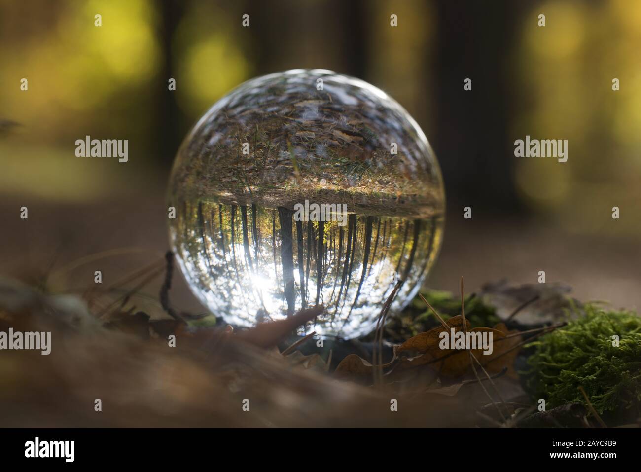 Bruning glass hi-res stock photography and images - Alamy