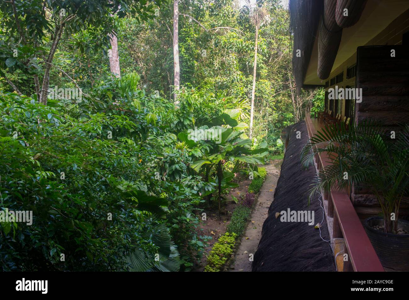 Samboja lodge hi-res stock photography and images - Alamy