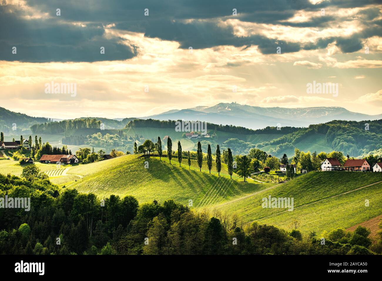 Styria wine road hi-res stock photography and images - Alamy