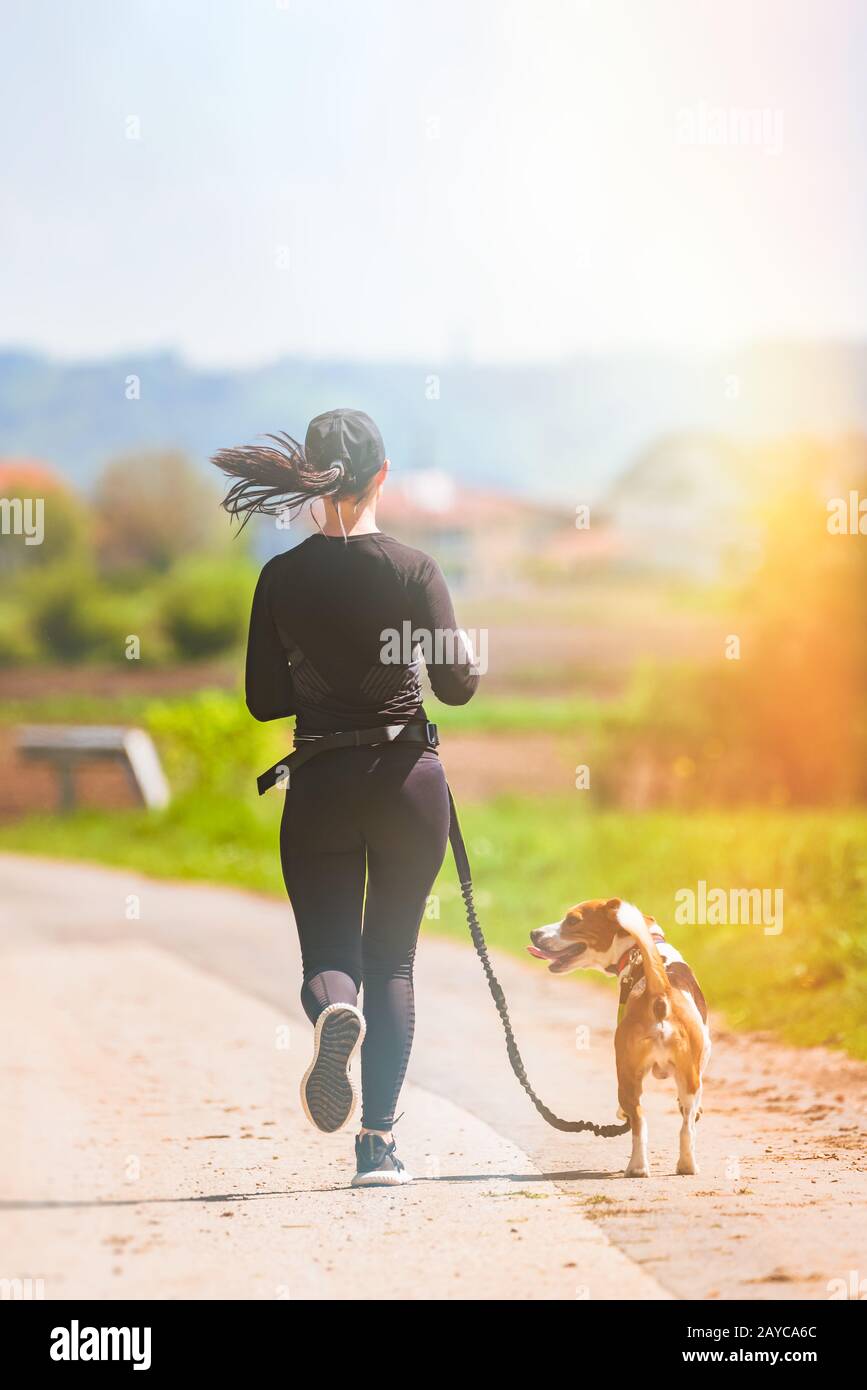 What To Do If A Dog Runs Away On A Walk