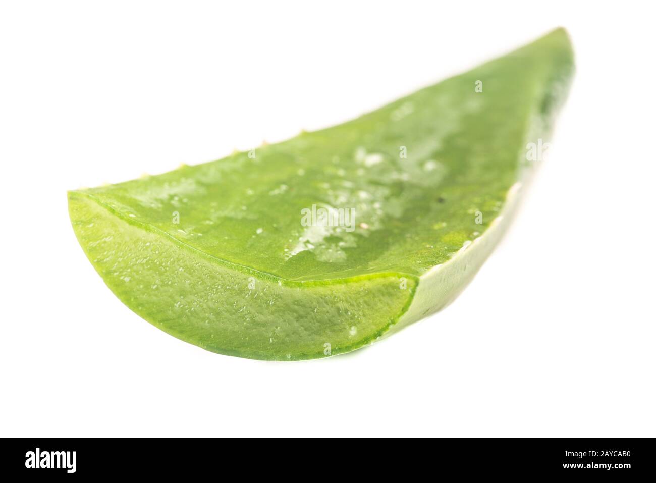 Aloe vera leave on hi-res stock photography and images - Alamy