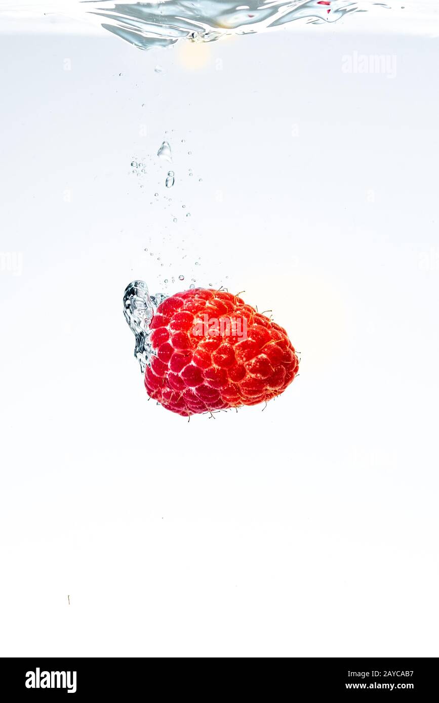 Raspberry splashing into crystal clear water with air bubbles sinking ...