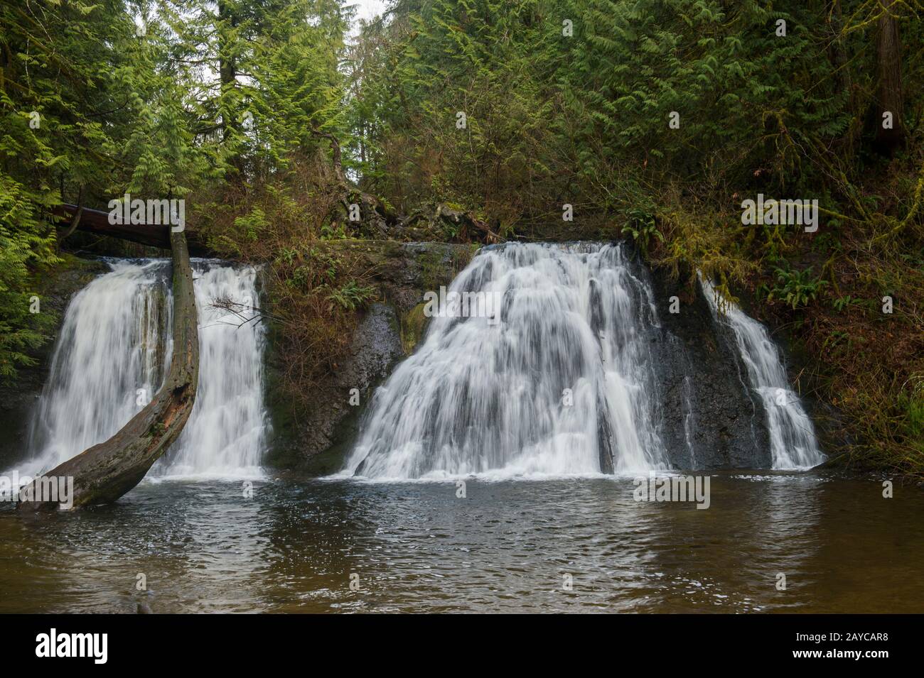 Cascade foothills hi-res stock photography and images - Alamy