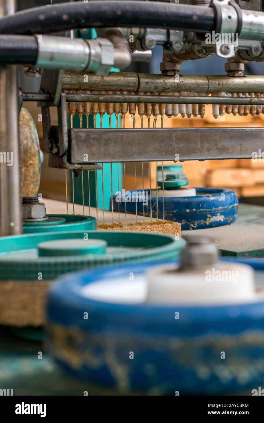 Lamella hi-res stock photography and images - Alamy