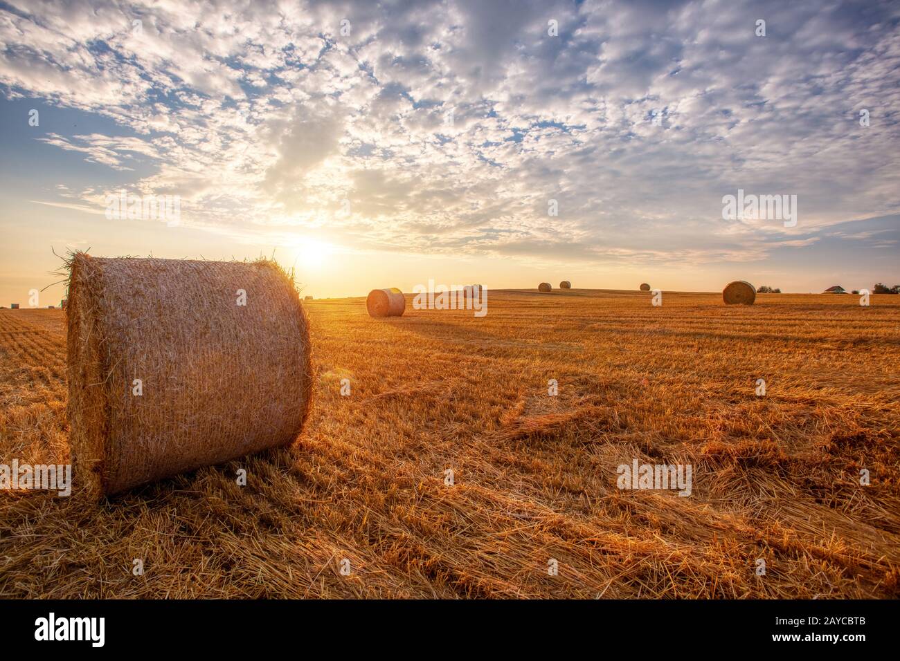 Roll of hays in the field hi-res stock photography and images - Alamy