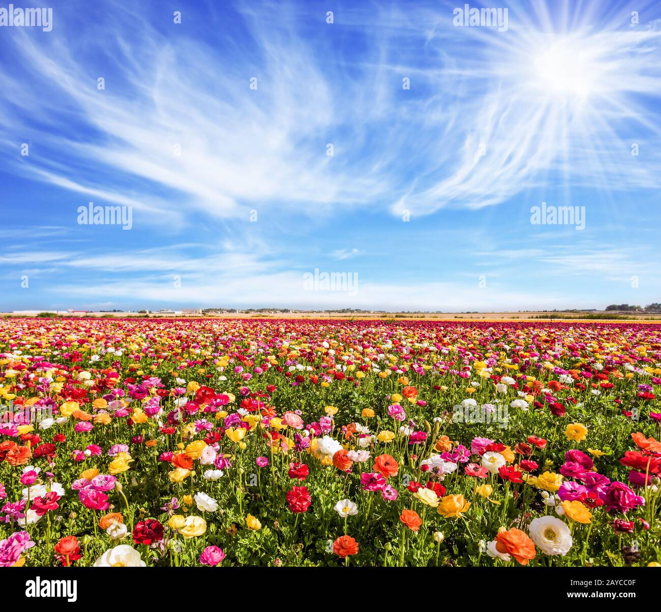 Bright sun outdoors work hi-res stock photography and images - Alamy