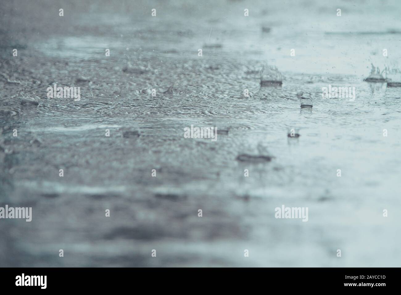 Heavy Rain Drops
