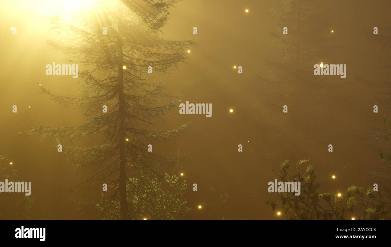 Magical Forest with Sparkles Stock Photo - Alamy