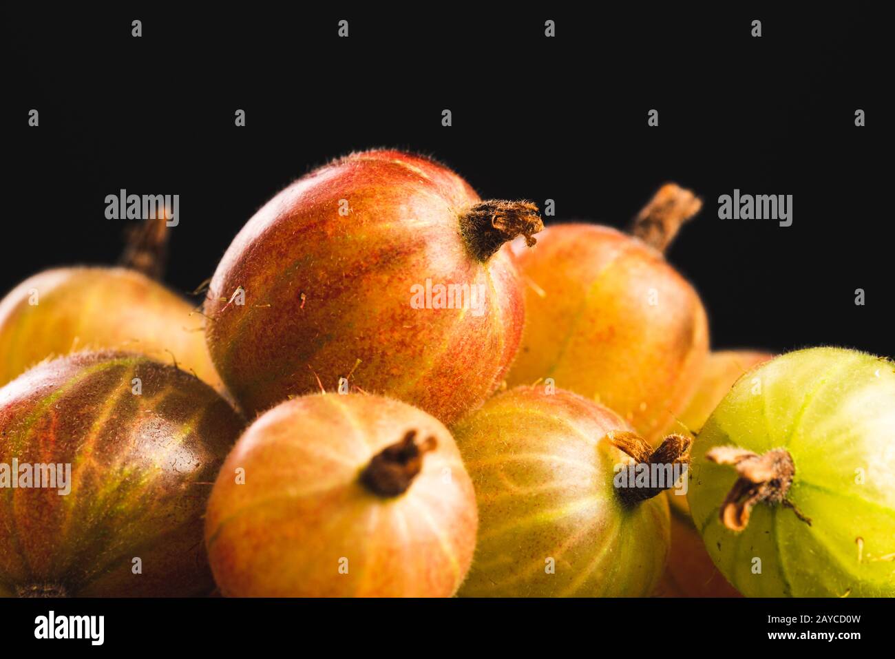 Black gooseberries hi-res stock photography and images - Alamy