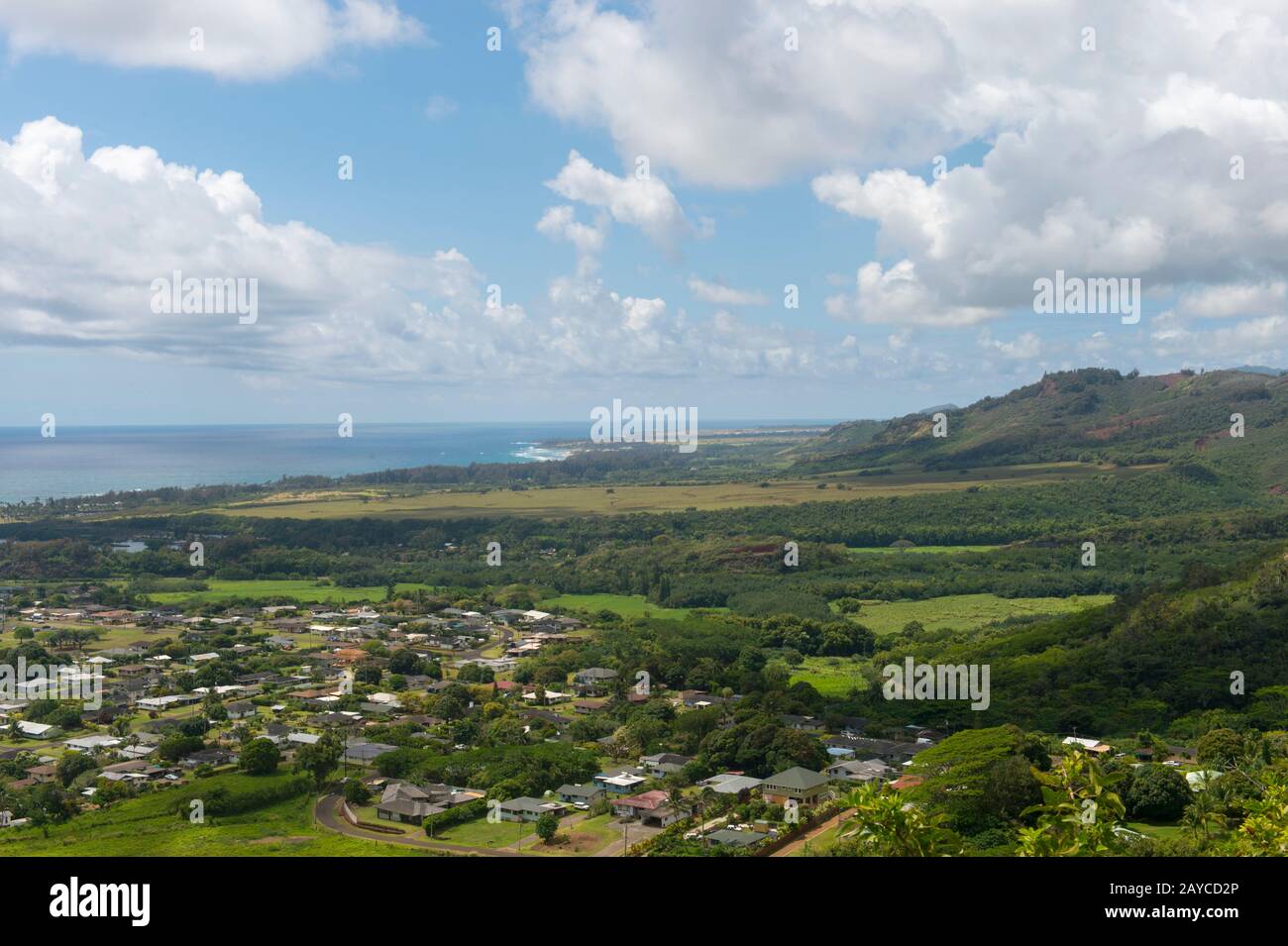 Kapaa Trail