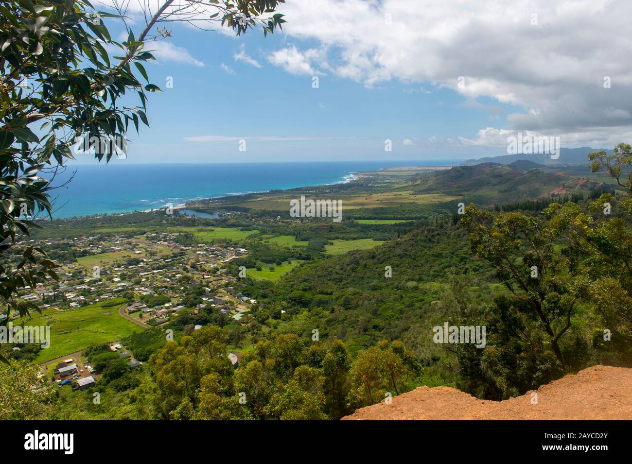 Kapaa Trail