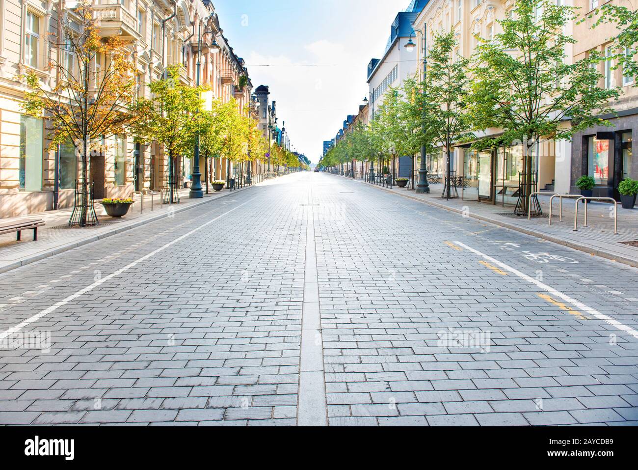 City street with empty road Stock Photo - Alamy City street with empty road Stock Photo - Alamy