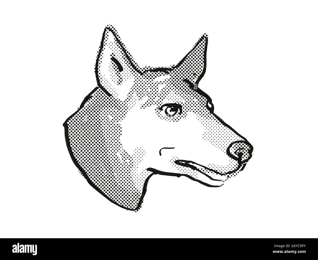 Australian Kelpie Dog Breed Cartoon Retro Drawing Stock Photo - Alamy