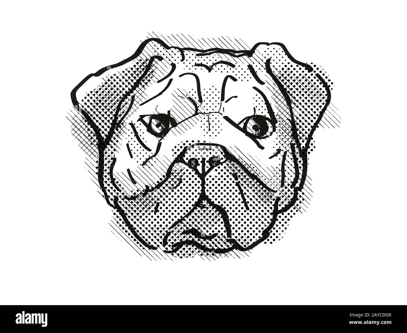 Pug drawing hi-res stock photography and images - Alamy