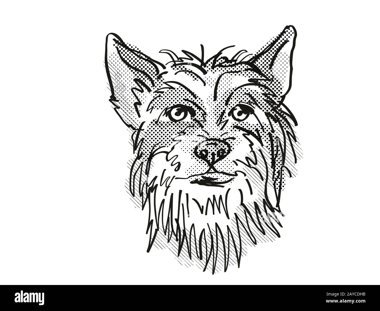 Chinese hound hi-res stock photography and images - Alamy