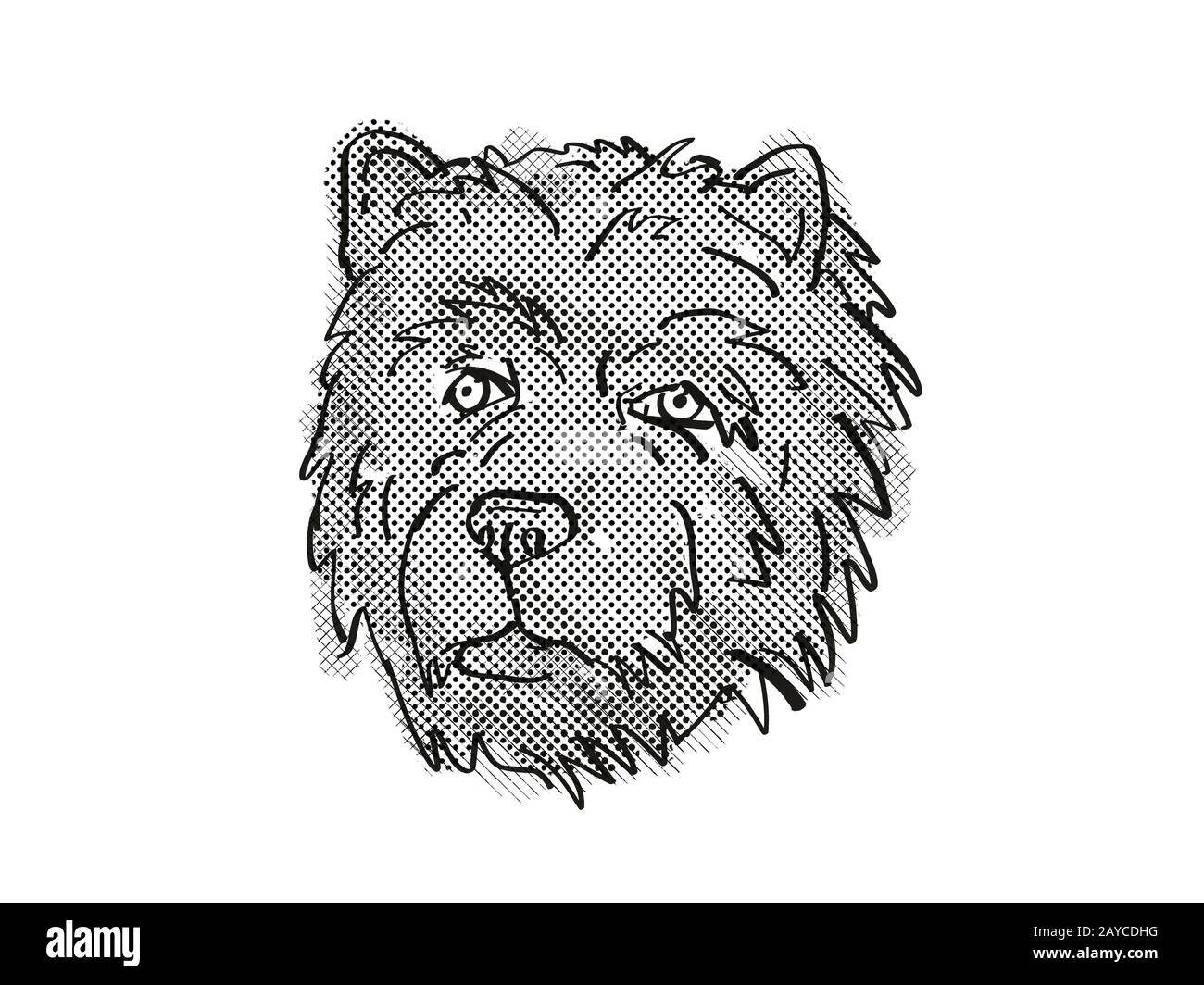 Chow Chow Dog Breed Cartoon Retro Drawing Stock Photo - Alamy
