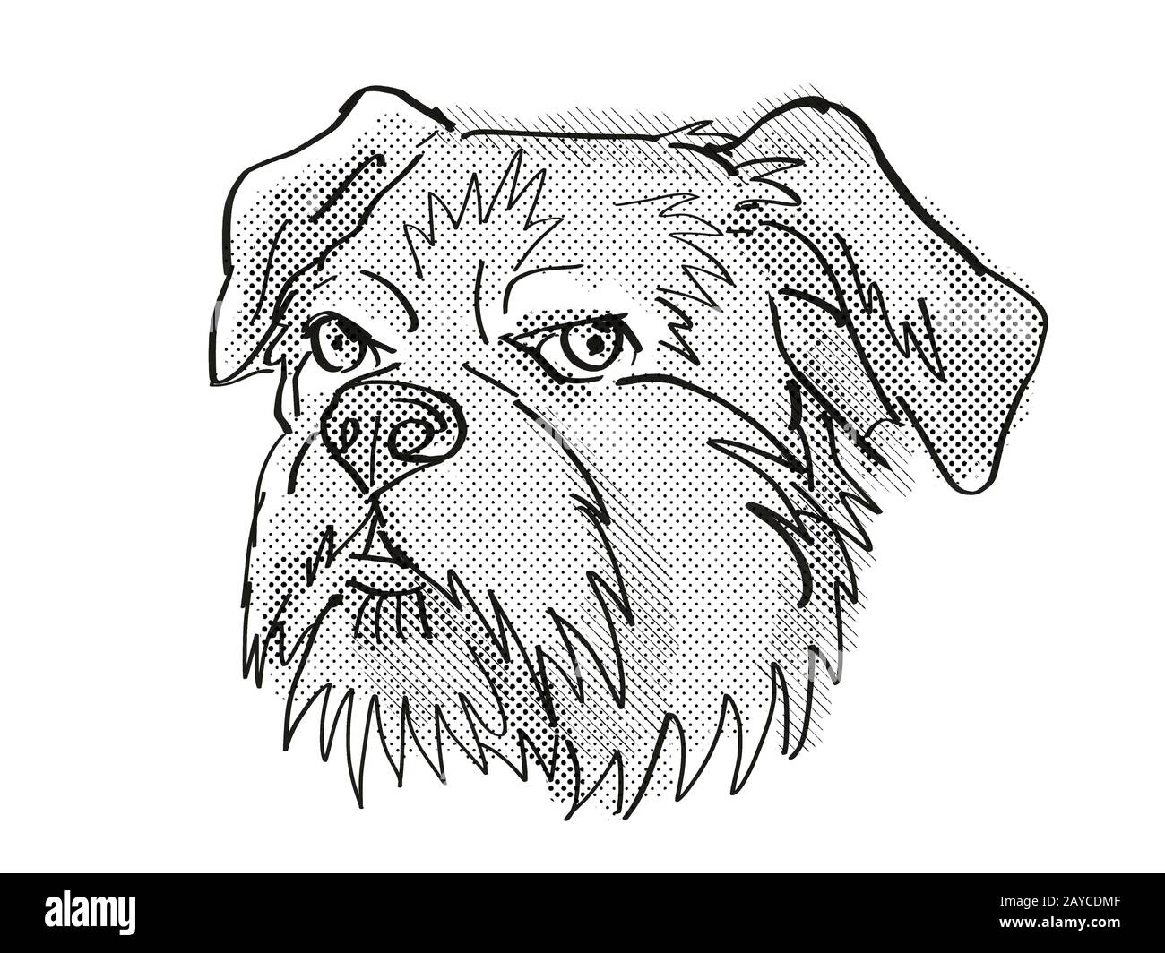 Brussels Griffon Dog Breed Cartoon Retro Drawing Stock Photo - Alamy