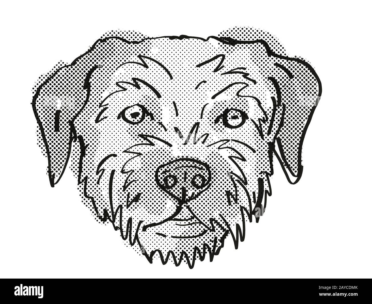 Border Terrier Dog Breed Cartoon Retro Drawing Stock Photo - Alamy