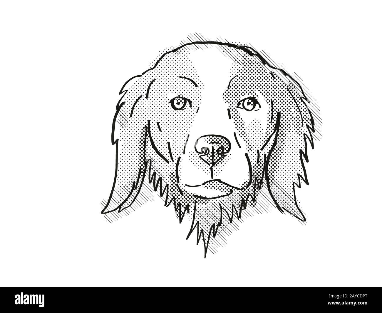 Brittany or Brittany Spaniel Dog Breed Cartoon Retro Drawing Stock ...