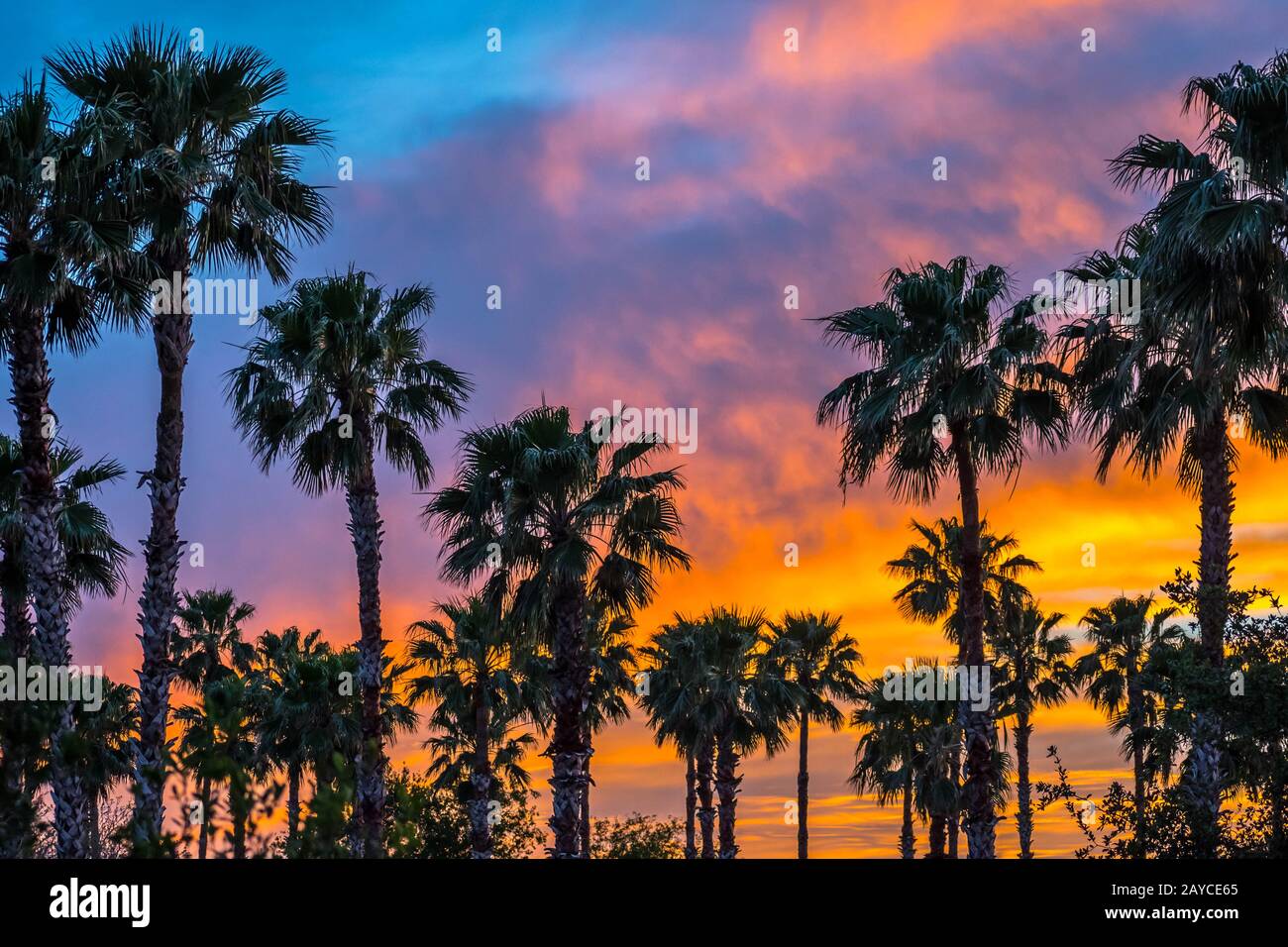 Dramatic vibrant sunset scenery in Donna Victoria Palms RV Resort ...